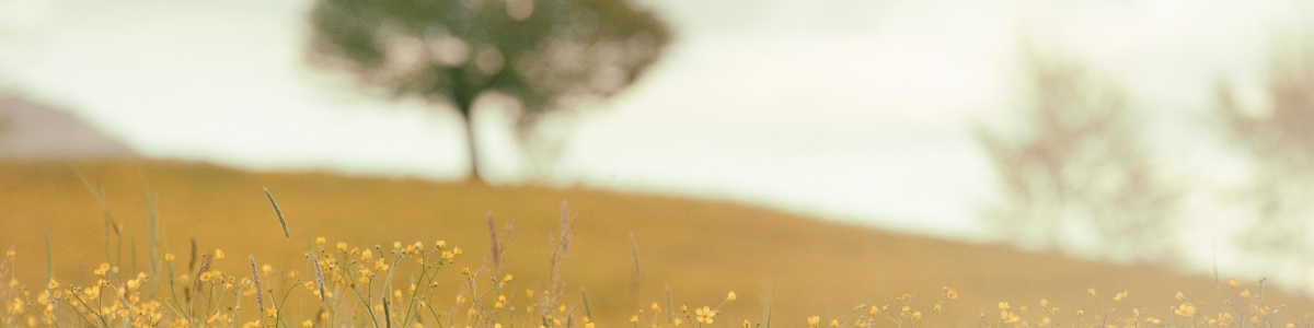 Daphne Christine | Now I Lay Me Down to Sleep