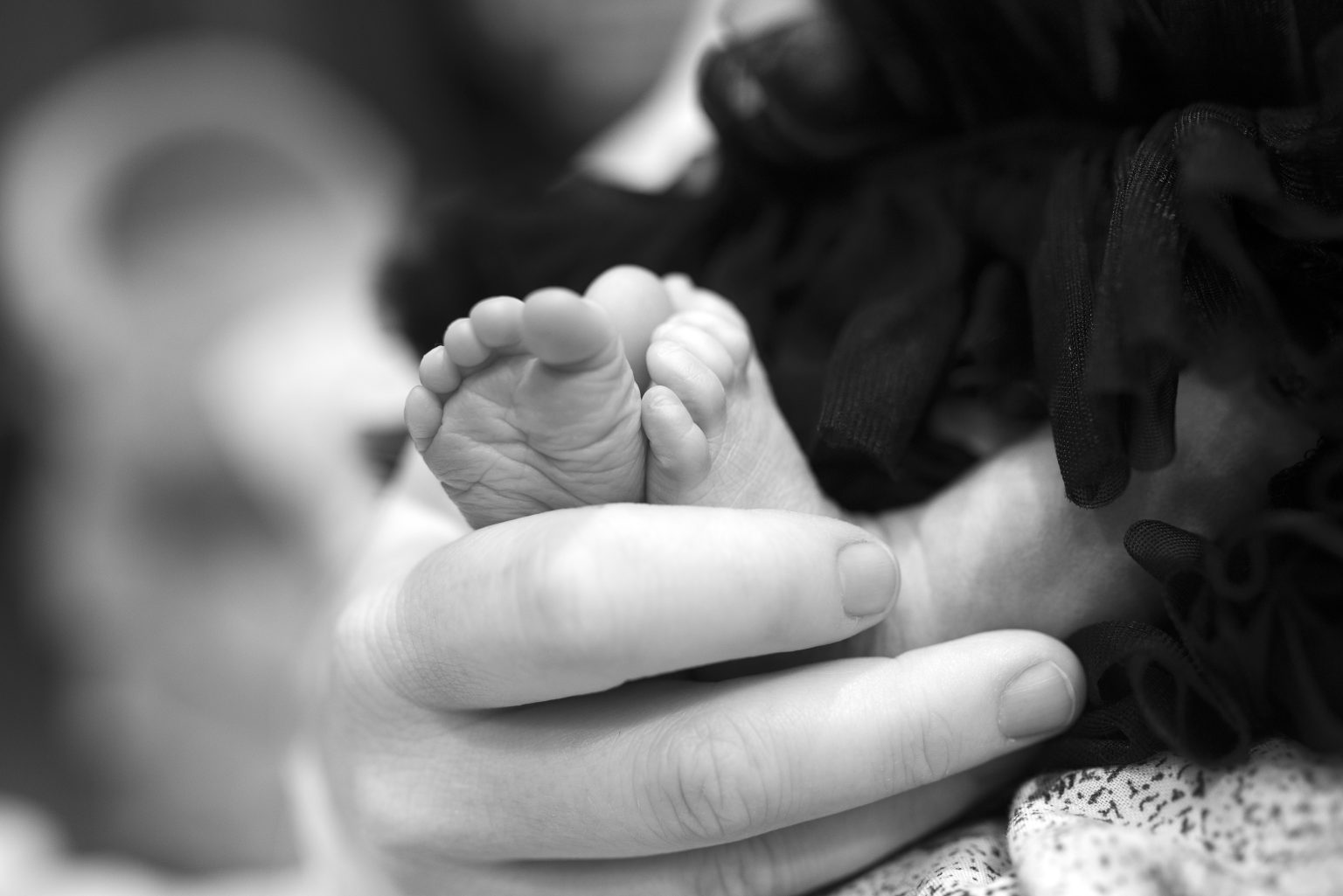 Volunteer Photographer Honors Infant Loss and Remembrance Through NILMDTS